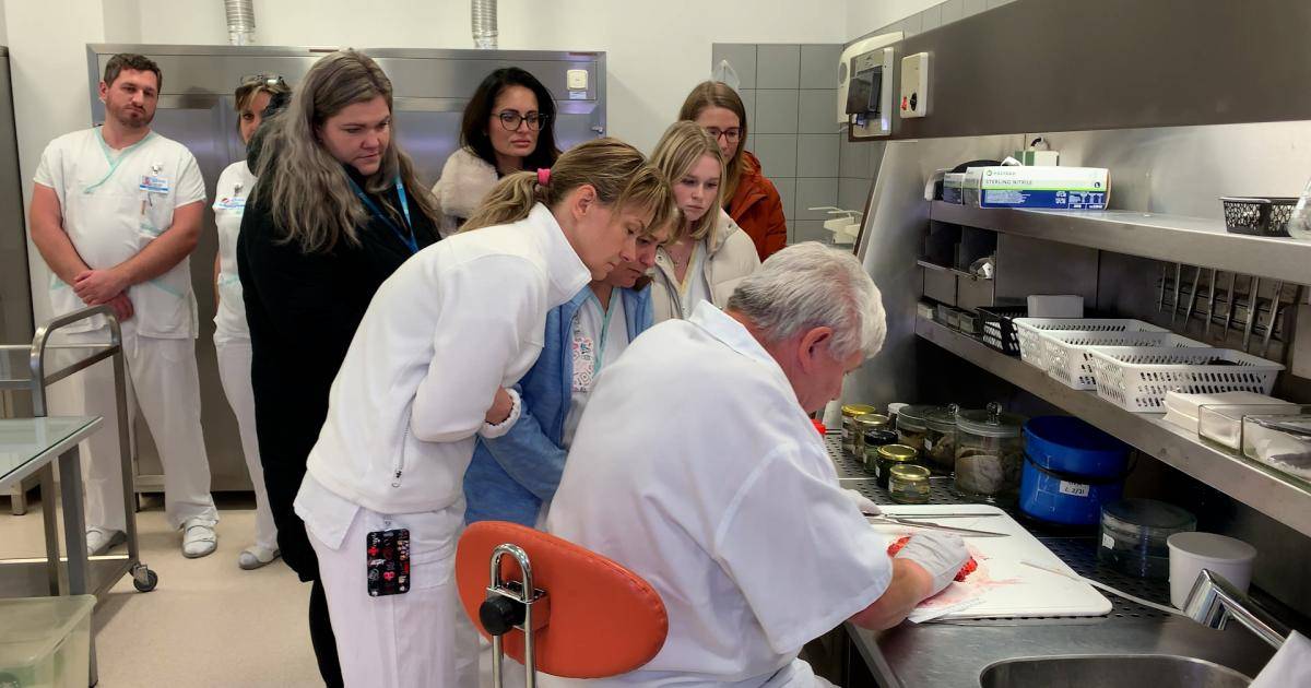 Oddělení patologické anatomie pořádalo den otevřených dveří | iTVS